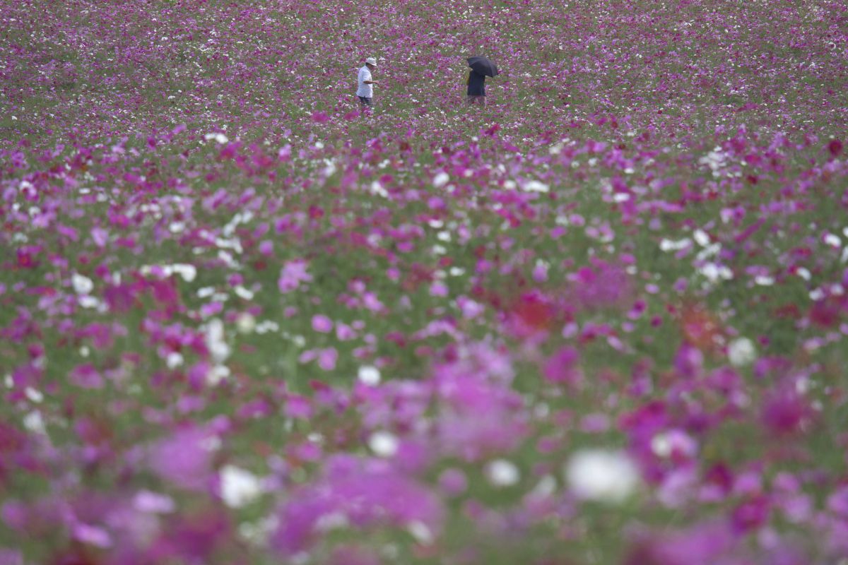 Time Goes By･･･ | GANREF