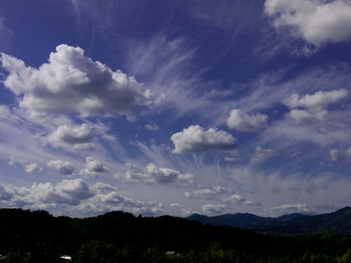 Blue Blue Sky | GANREF