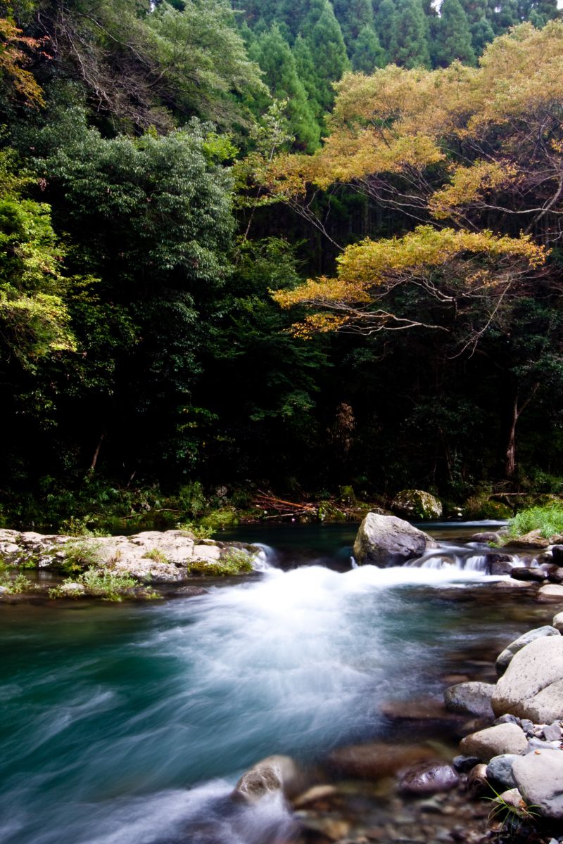 Autumn Flow | GANREF