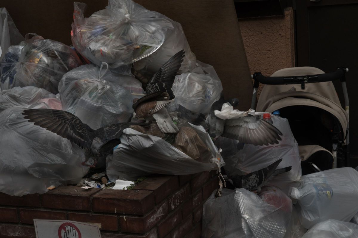 eternal peace | GANREF