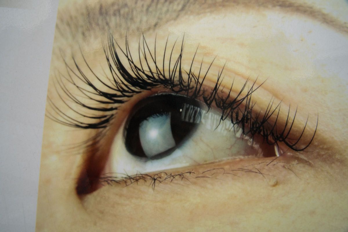 eternal peace | GANREF