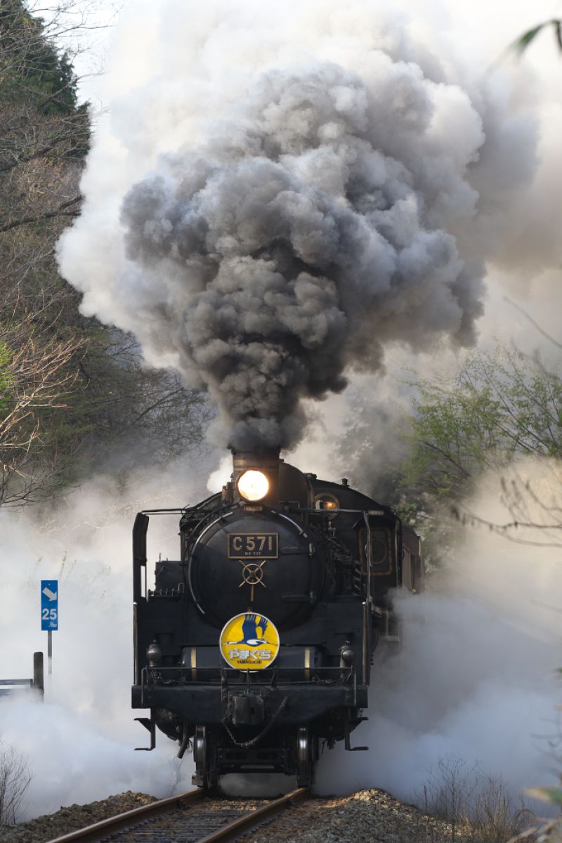 SLやまぐち号 | GANREF