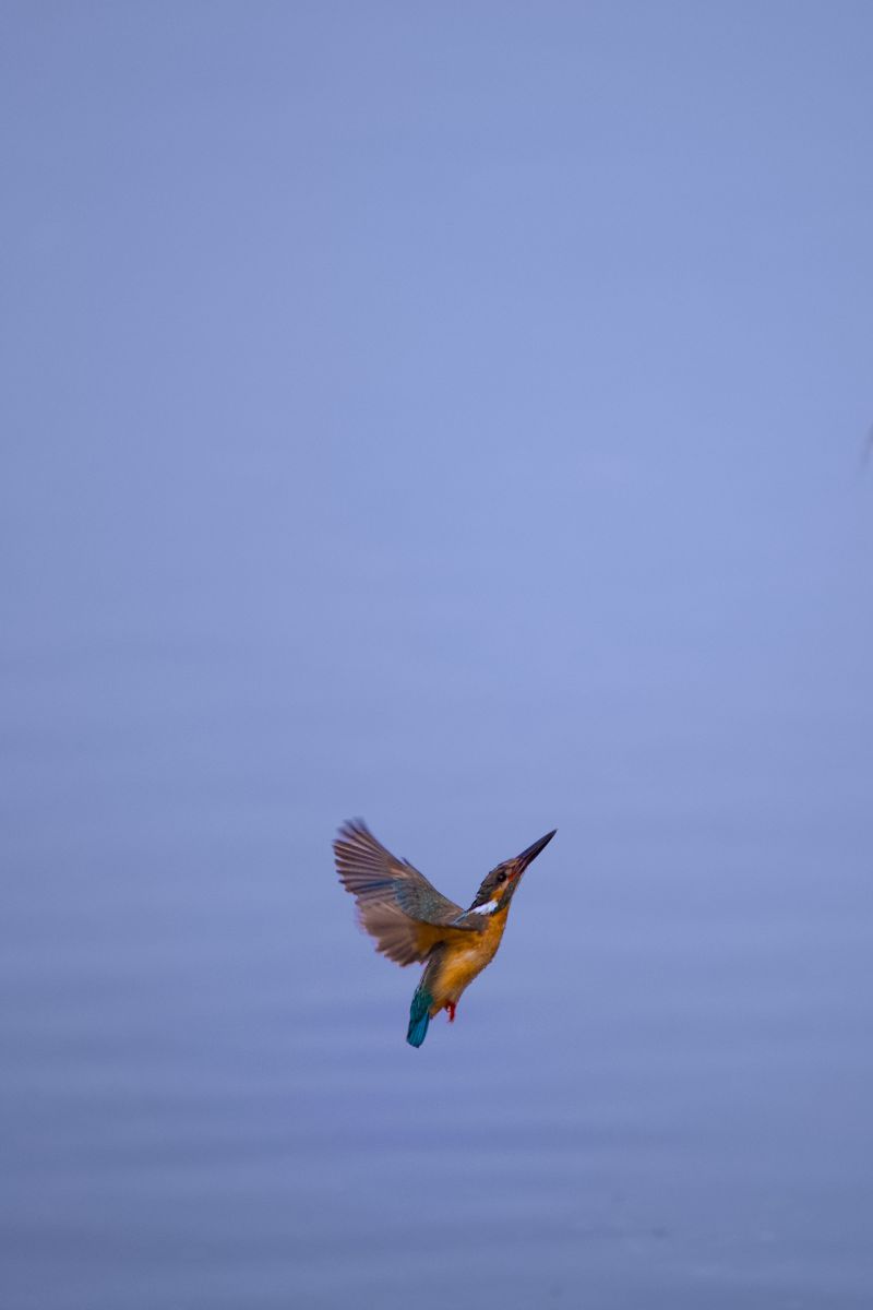 steep climb | GANREF