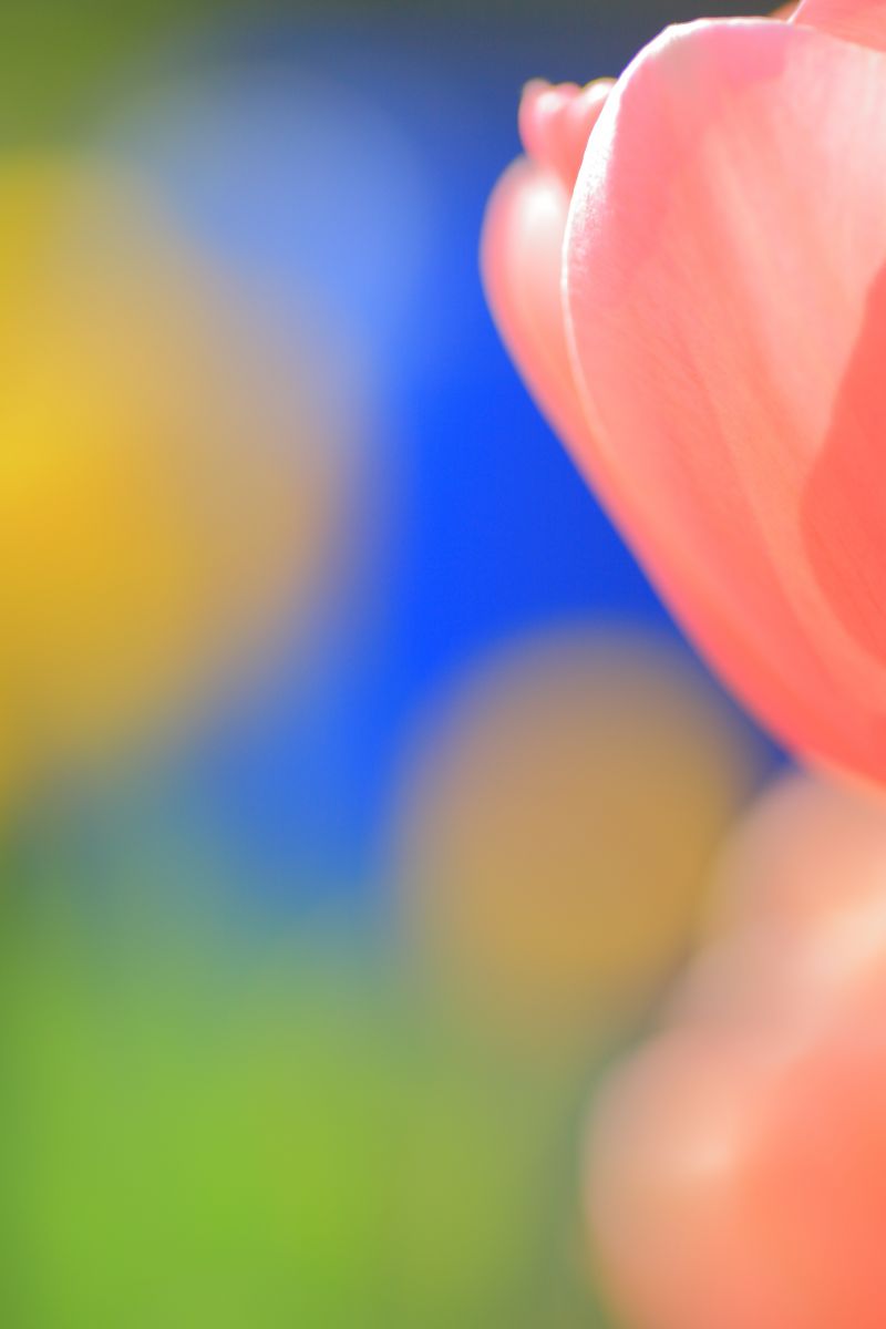 Color of the spring | GANREF