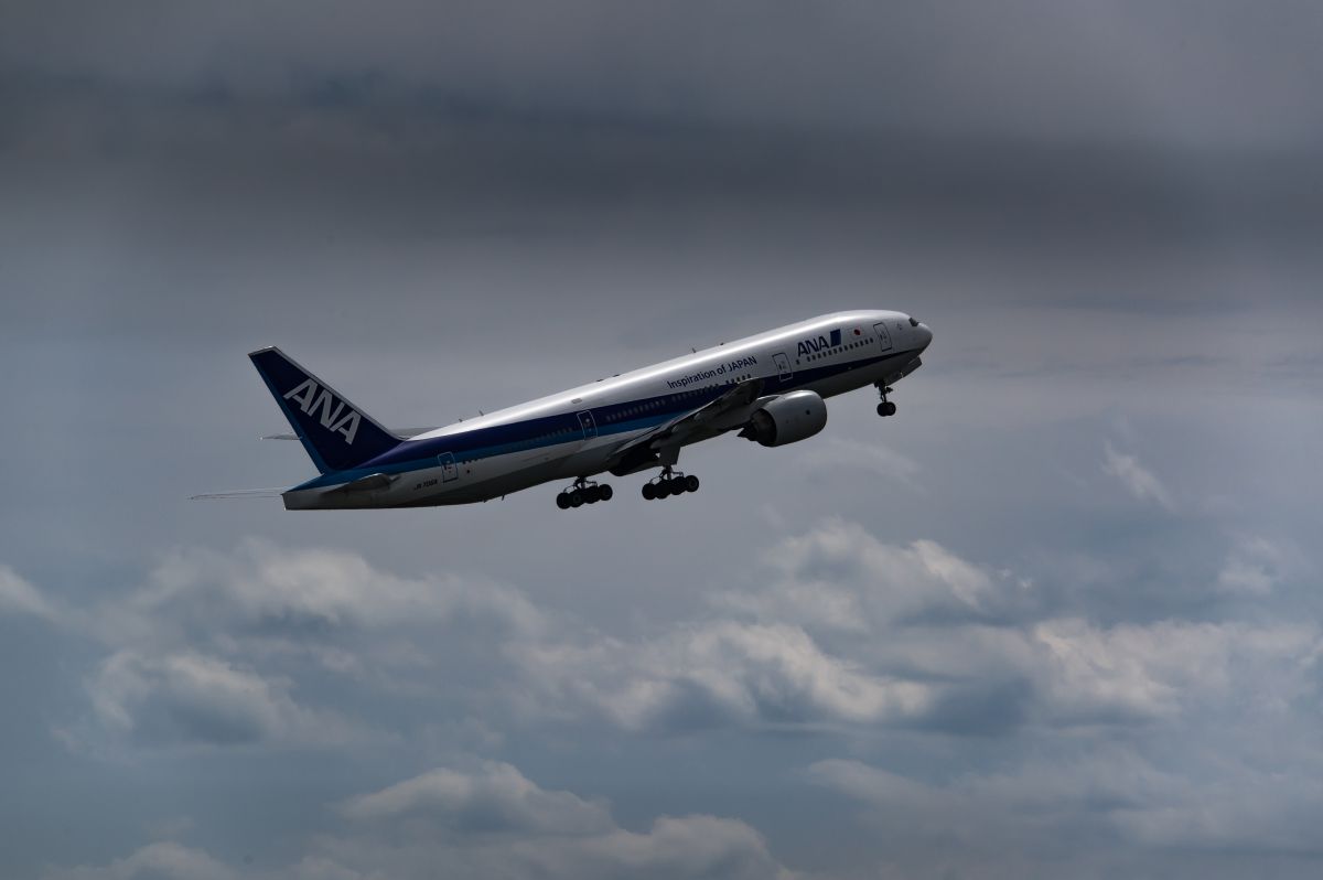 Morning flight | GANREF