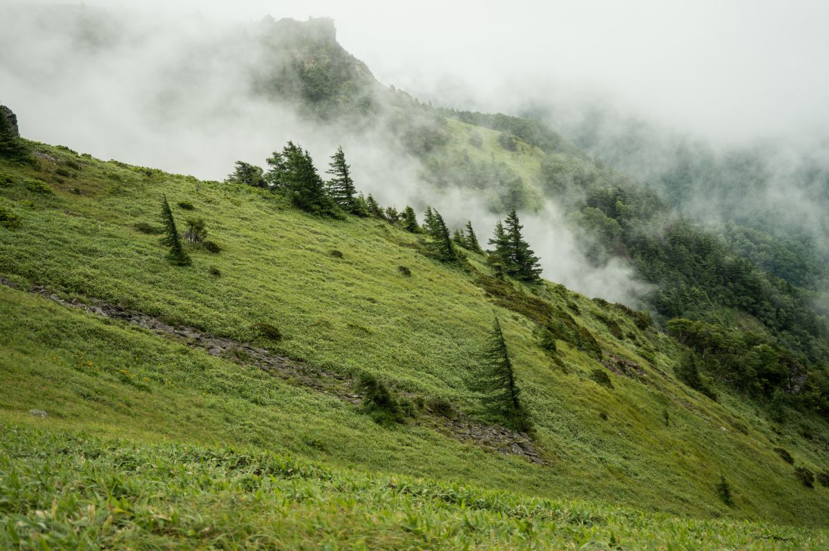 Blowin' in the wind | GANREF