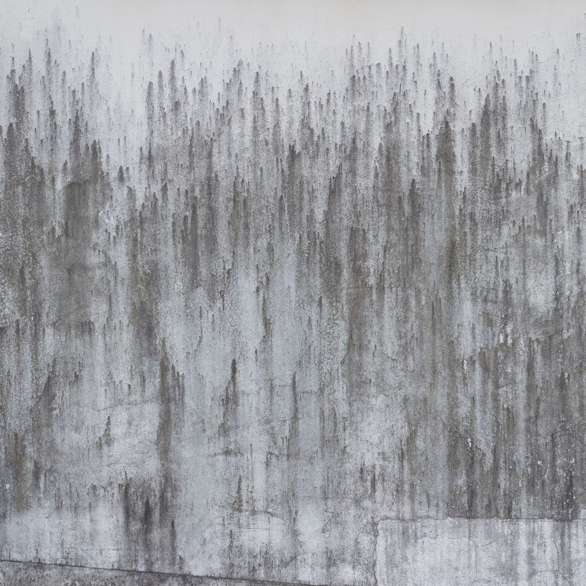 kurashiki Wall 13 | GANREF