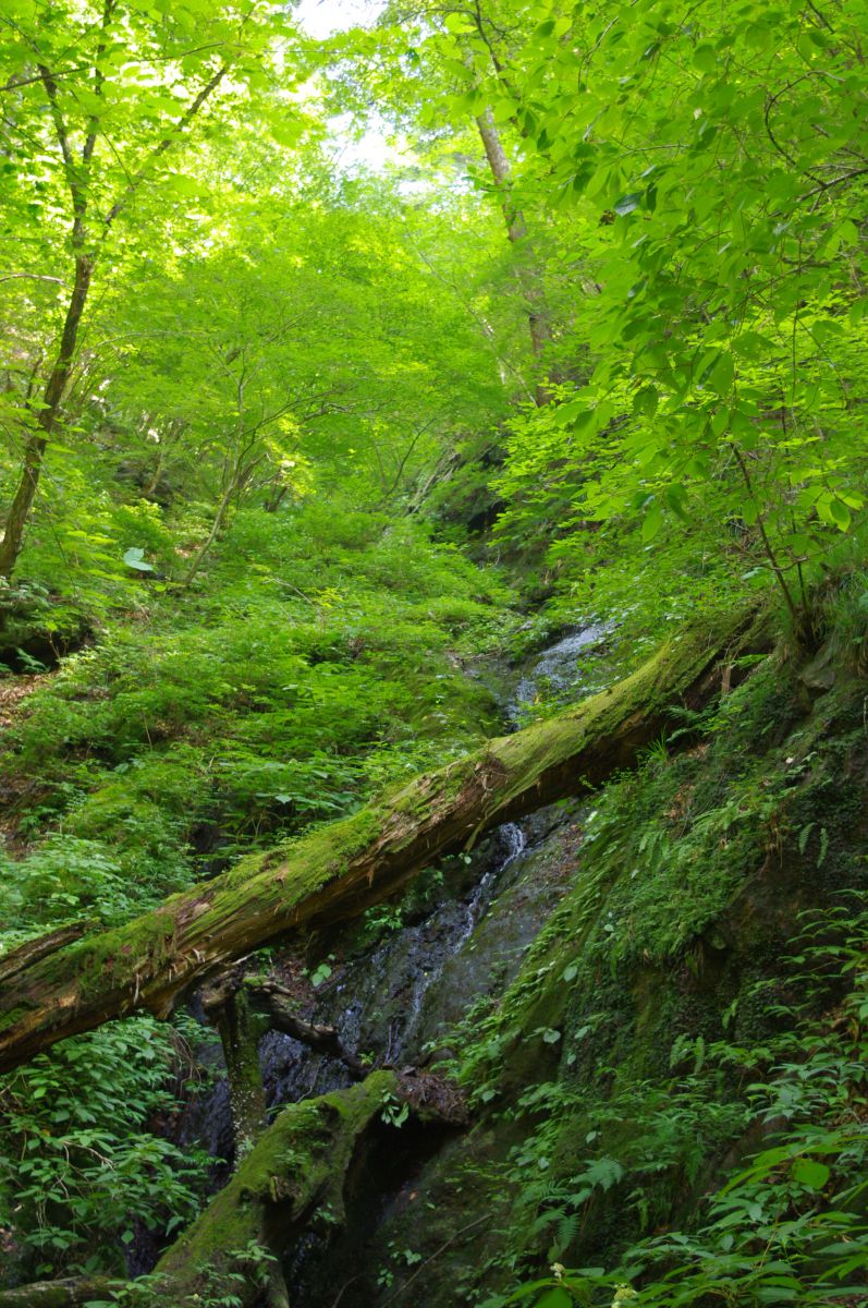 昇仙峡への道 | GANREF