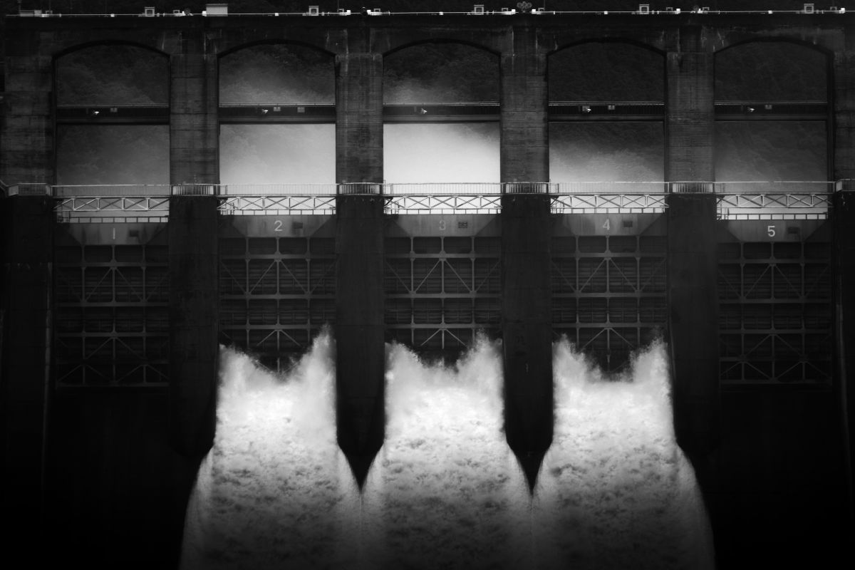 dam dam dam | GANREF