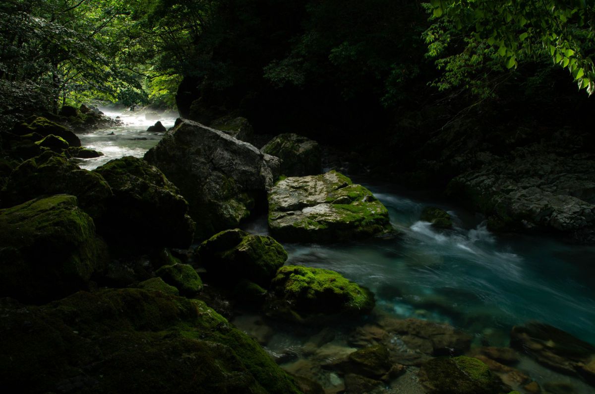 ふるさとの川 before | GANREF