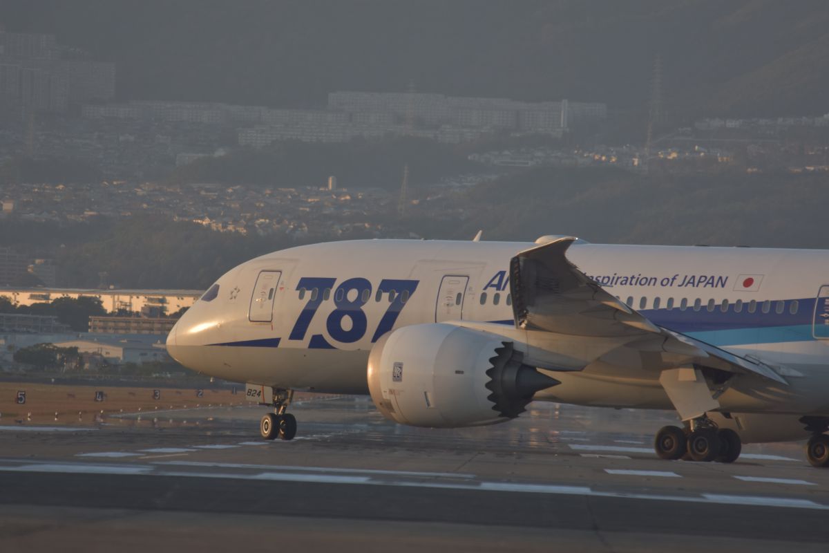 西陽を浴びる787.JPG | GANREF