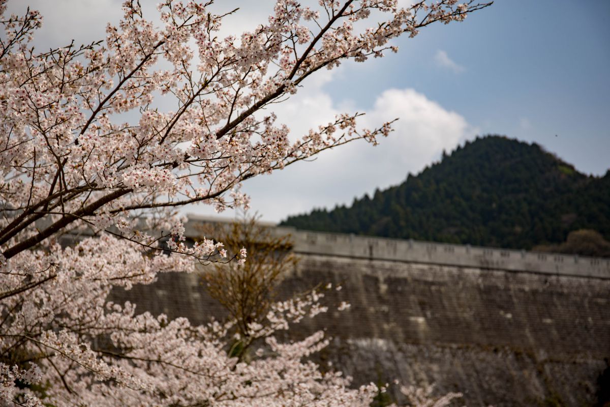 曲淵ダム公園 | GANREF