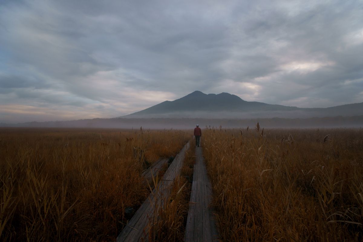 Another Way | GANREF