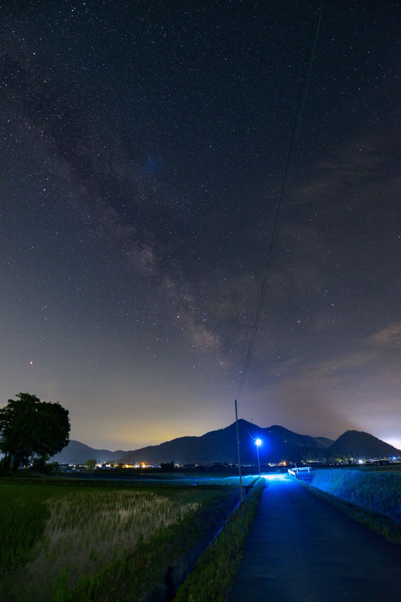 ブルーライト | GANREF