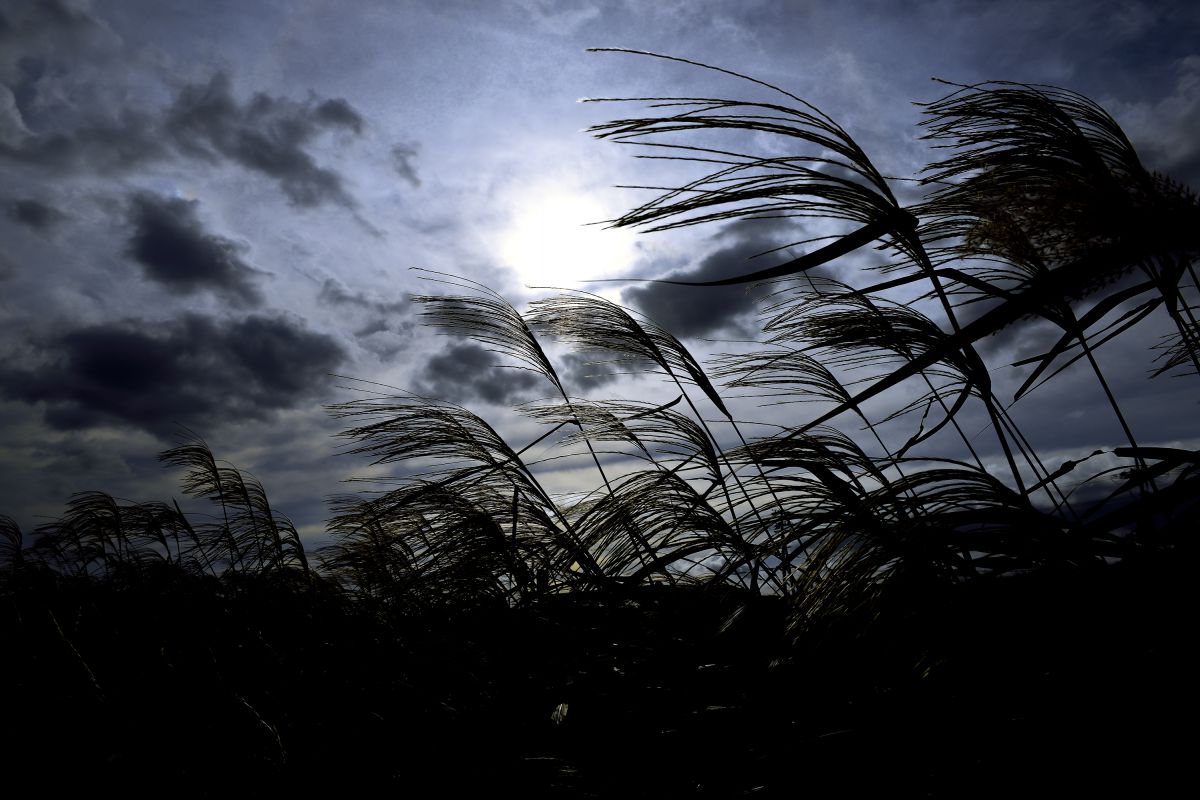 Dark in the dark Ⅱ | GANREF