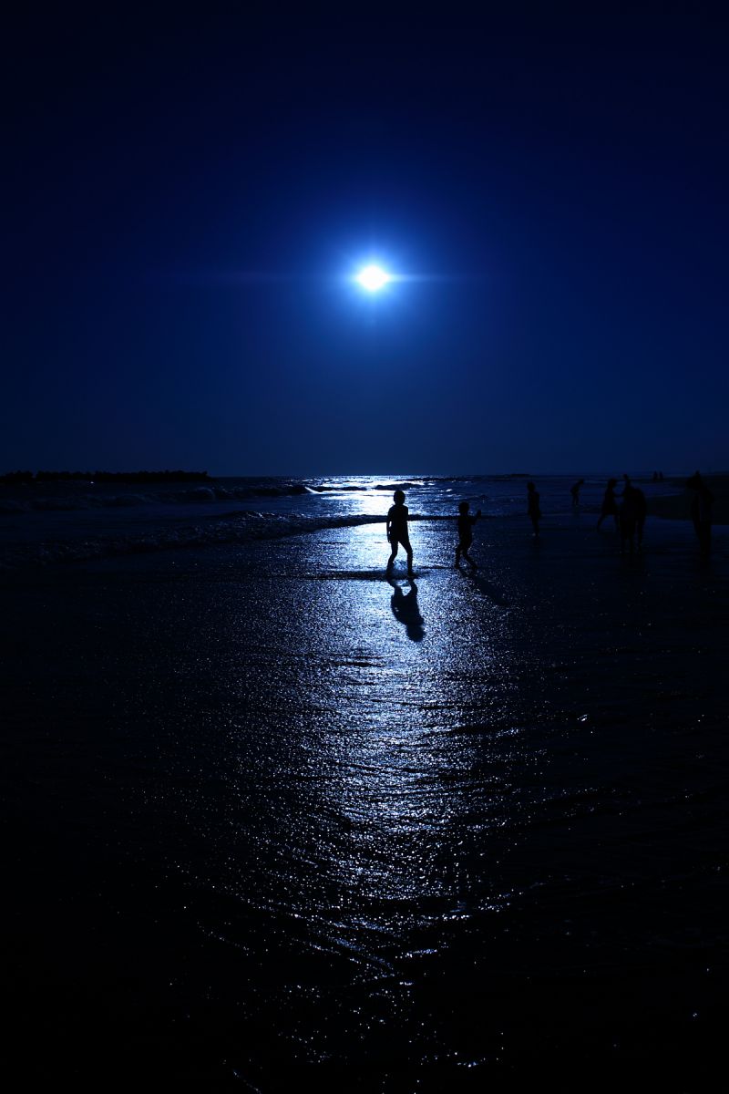 ENDLESS SUMMER | GANREF