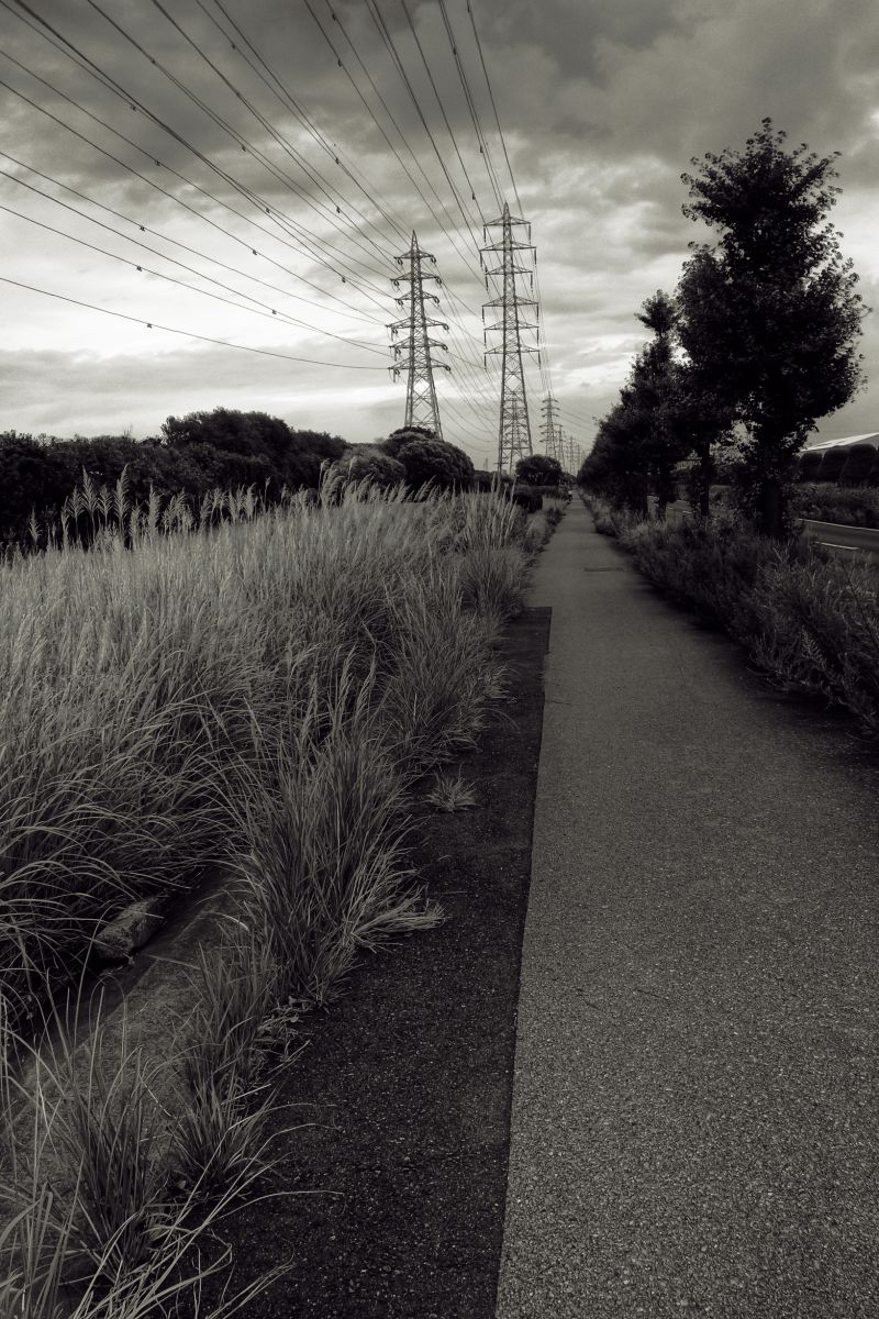 cloudy_day#4 | GANREF