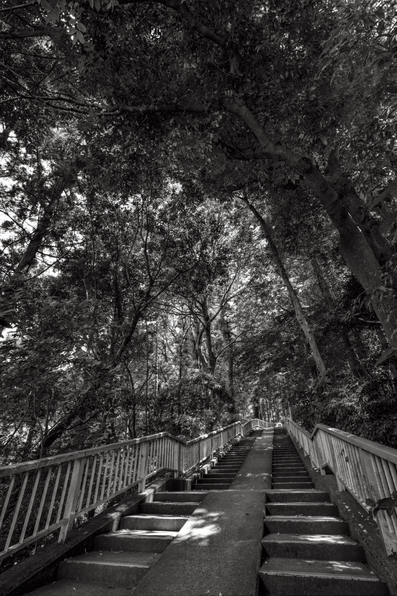 On a summer day3 | GANREF