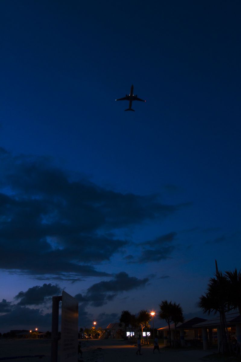 Flight_in_the_twilight | GANREF