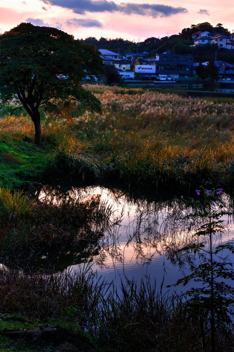 Late autumn3 | GANREF