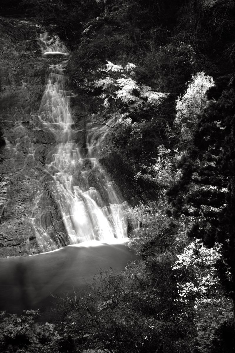 The falls in autumn | GANREF