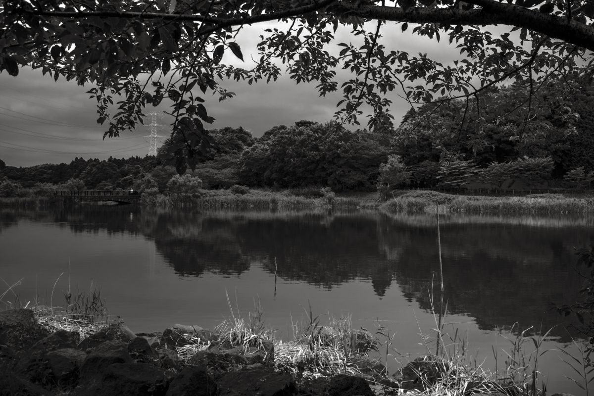 Lakeside scene2 | GANREF