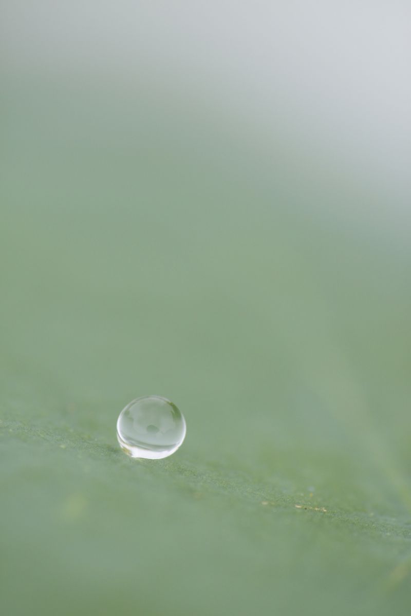 drop (2009) | GANREF