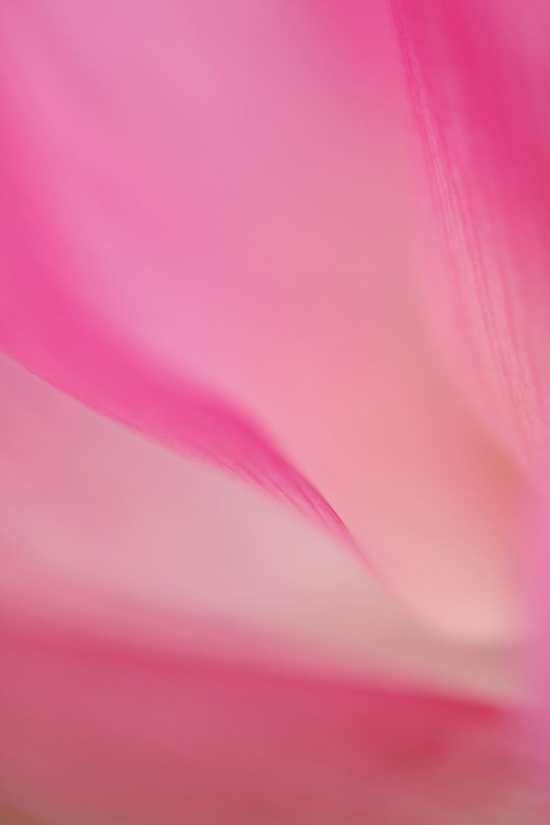 Wave (2009) | GANREF