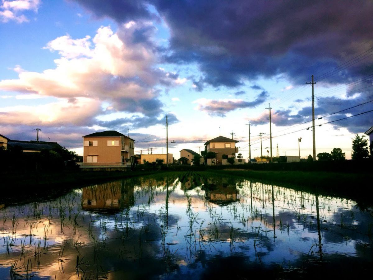 TANBO reflection | GANREF