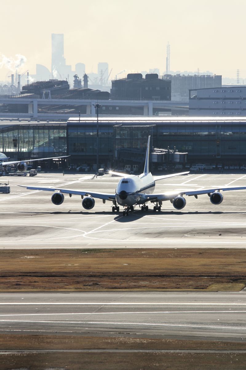 Dazzling Beauty | GANREF