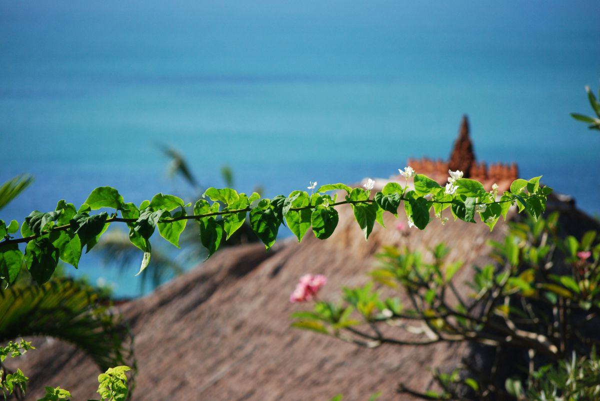 09GWバリ島 015.jpg | GANREF