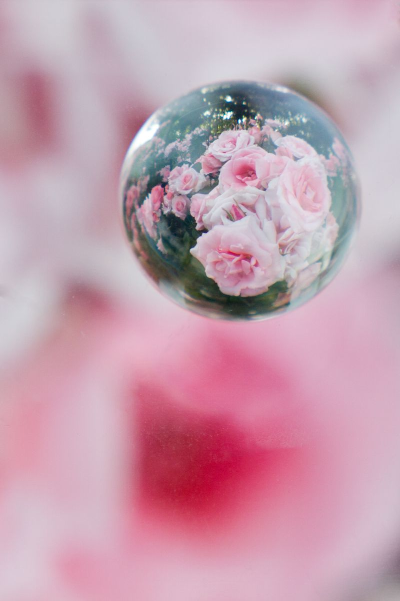 Rosette Nebula | GANREF