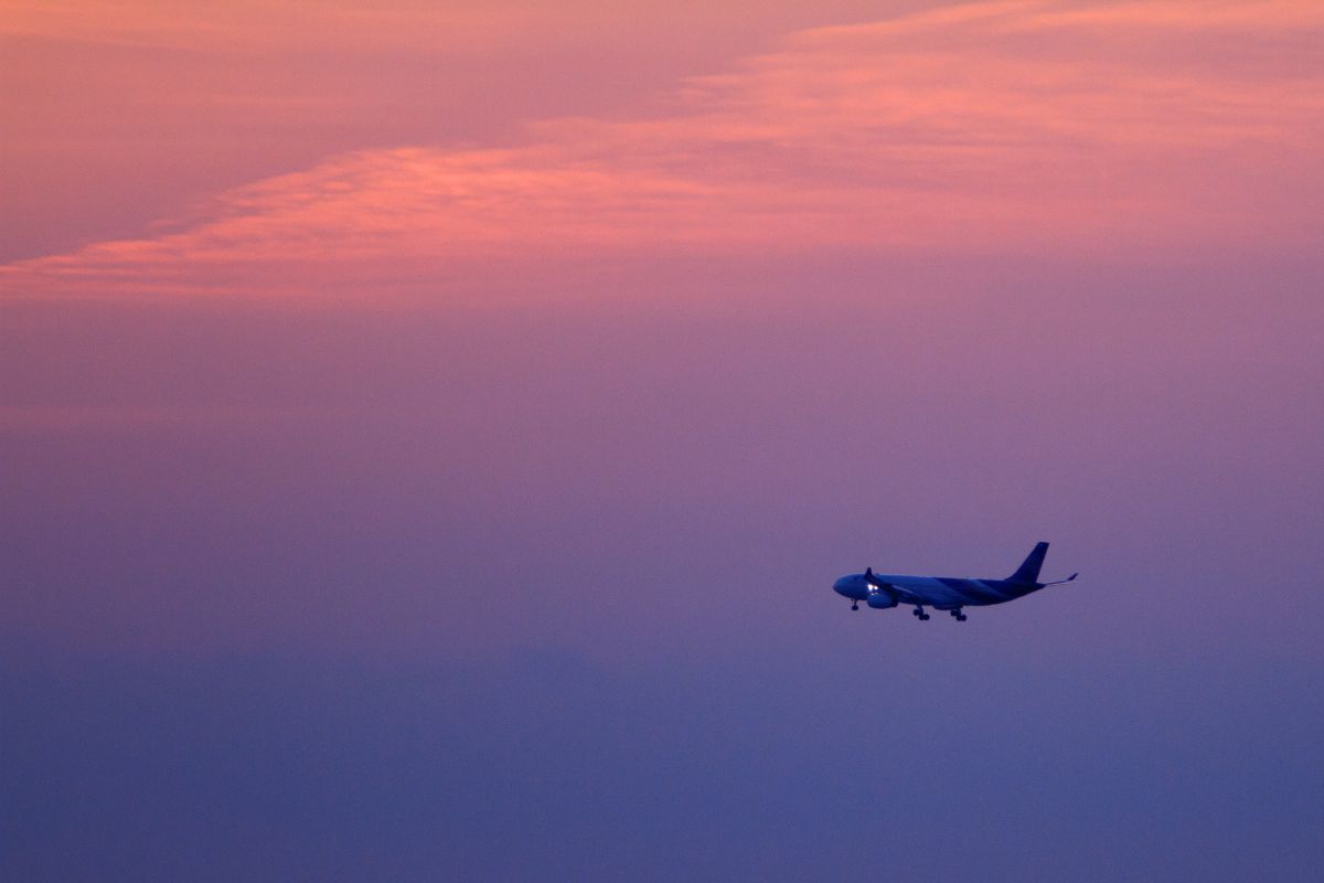 twilight flight | GANREF