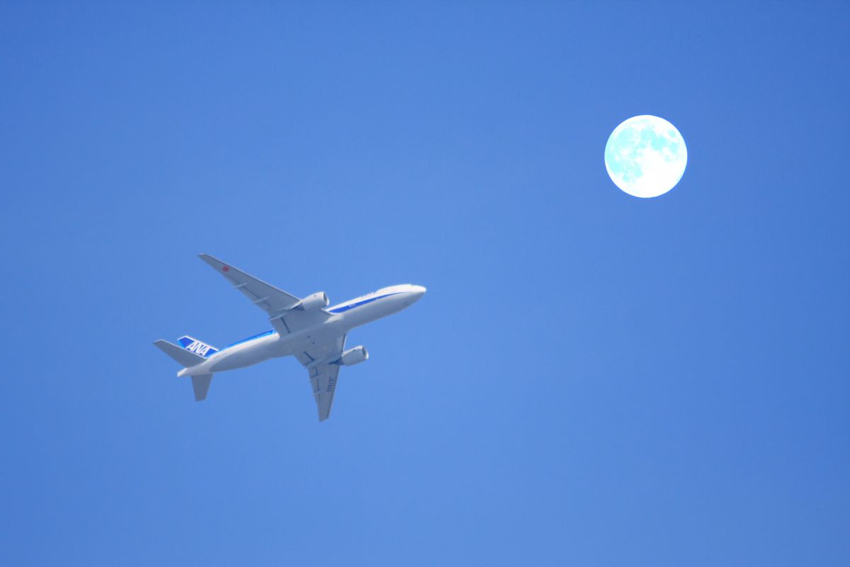 Fly to the moon | GANREF