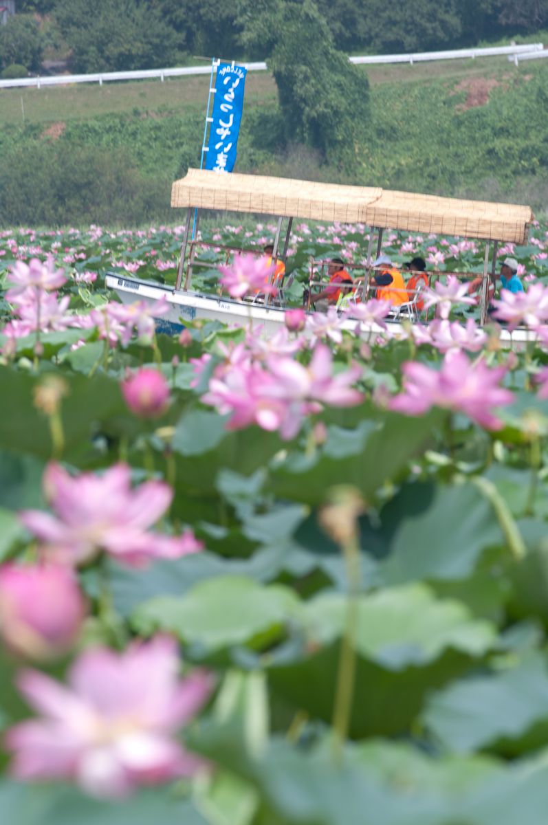 浄土を遊覧。 | GANREF