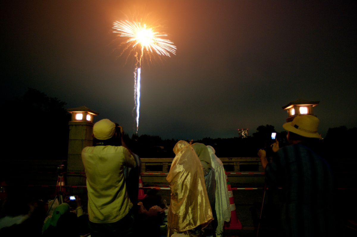 fireworks。 | GANREF