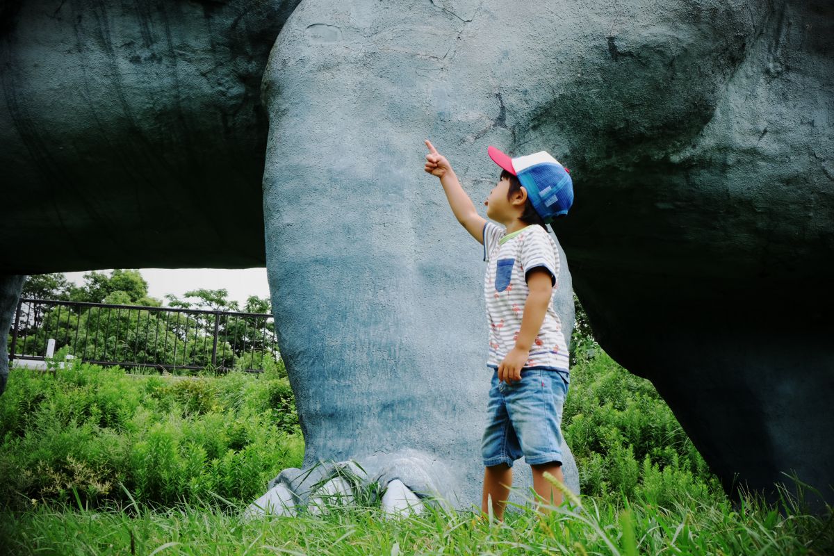 あッ あれ！ | GANREF