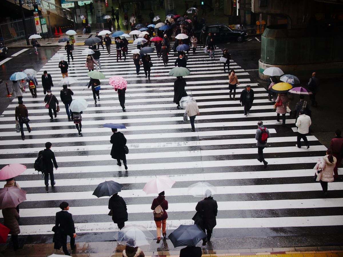 A crosswalk on rainy day | GANREF