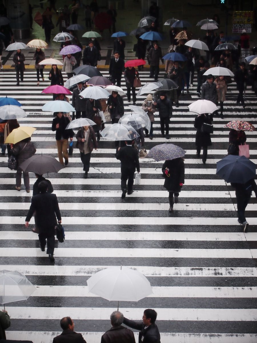 A crosswalk on rainy day | GANREF
