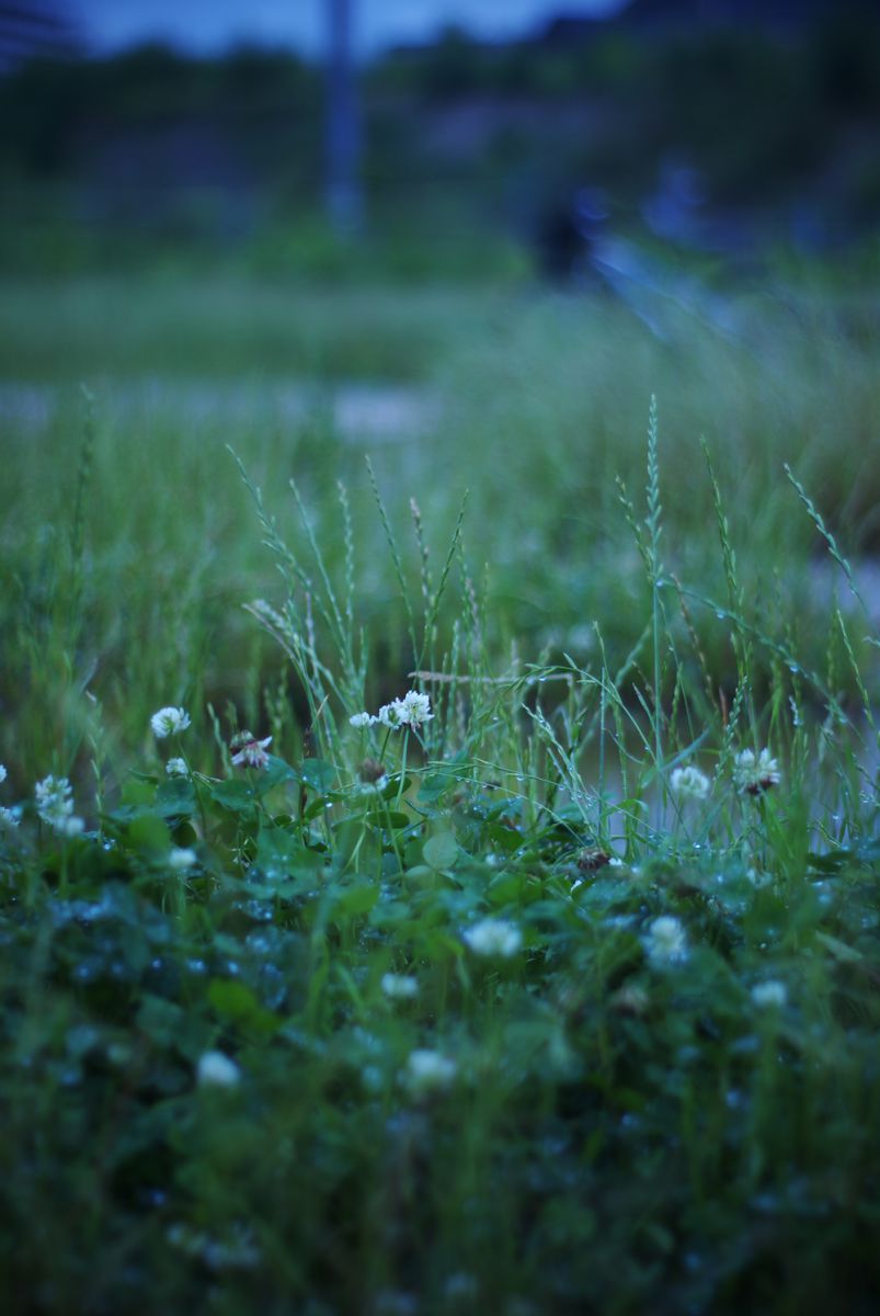 雨の匂い。 | GANREF