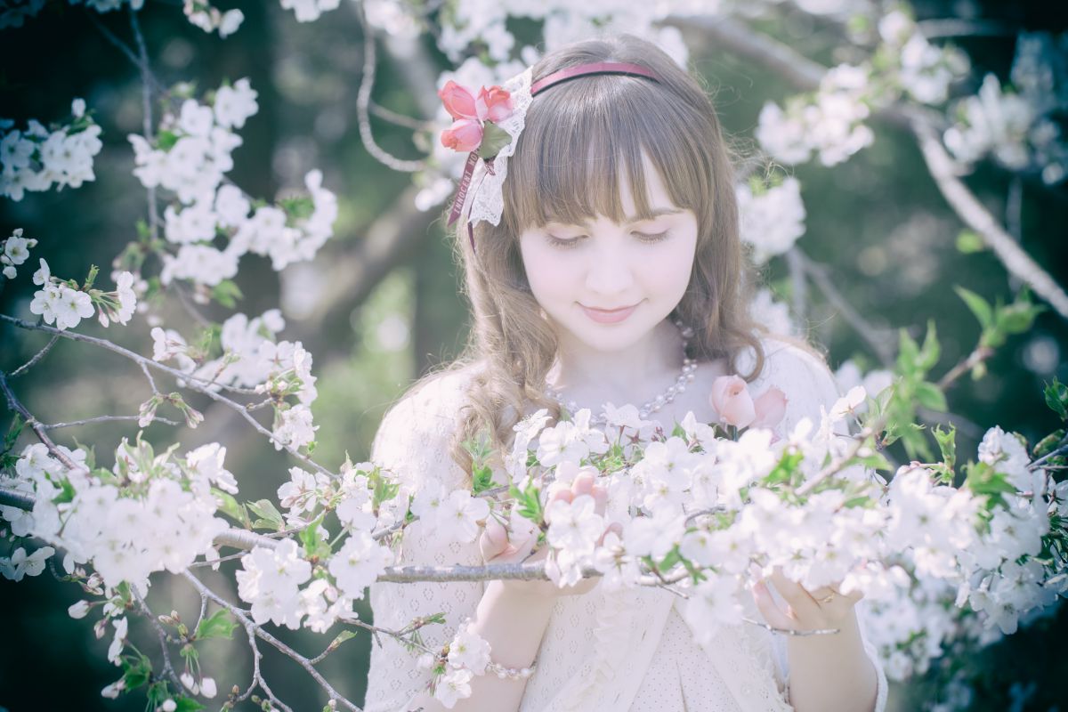 silent film | GANREF