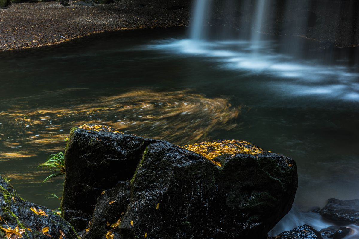 水上ワルツ2 | GANREF