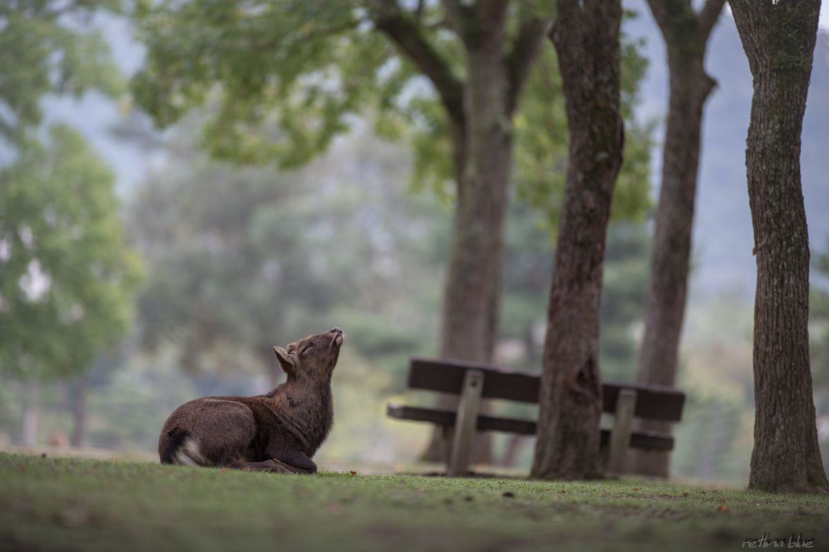 あ～、空気がうまいっ | GANREF