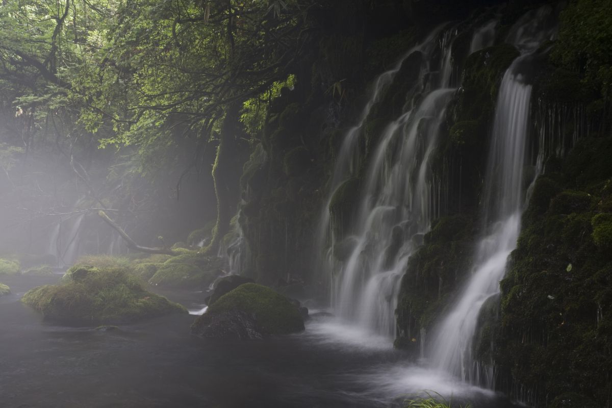 冷たい朝 | GANREF