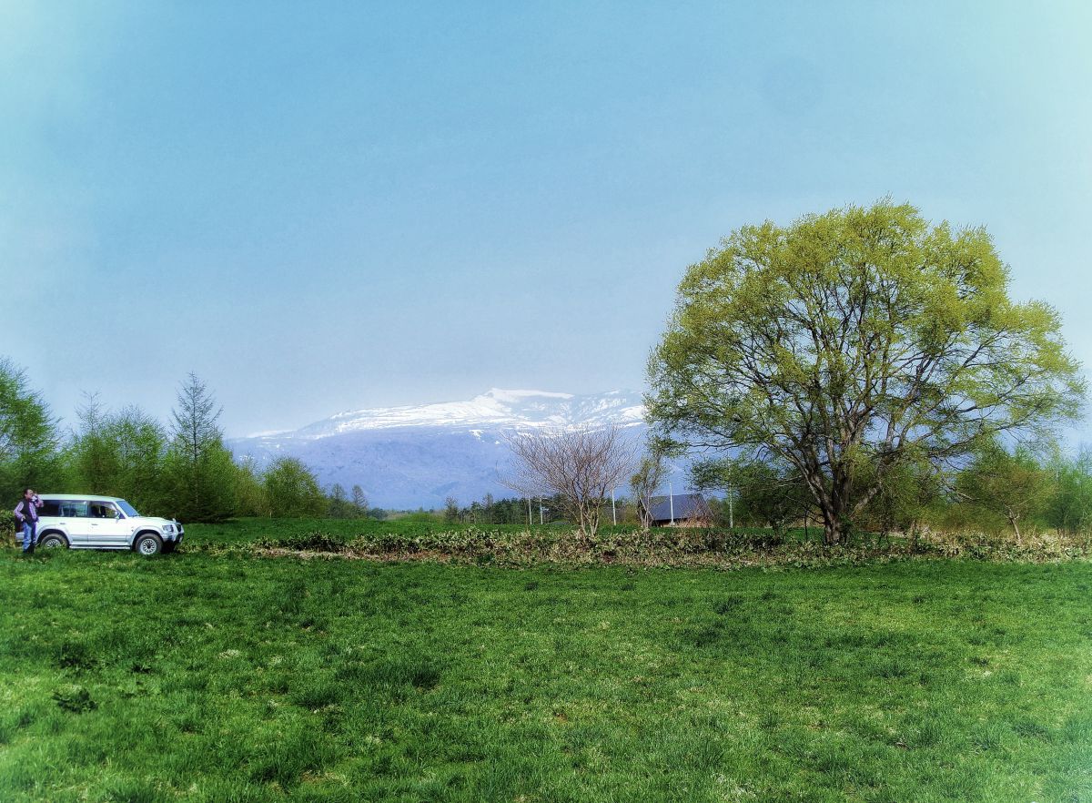 Anxious landscape | GANREF