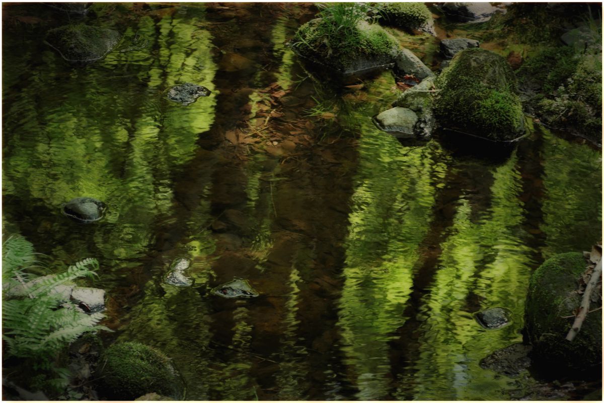 Reflection painting | GANREF