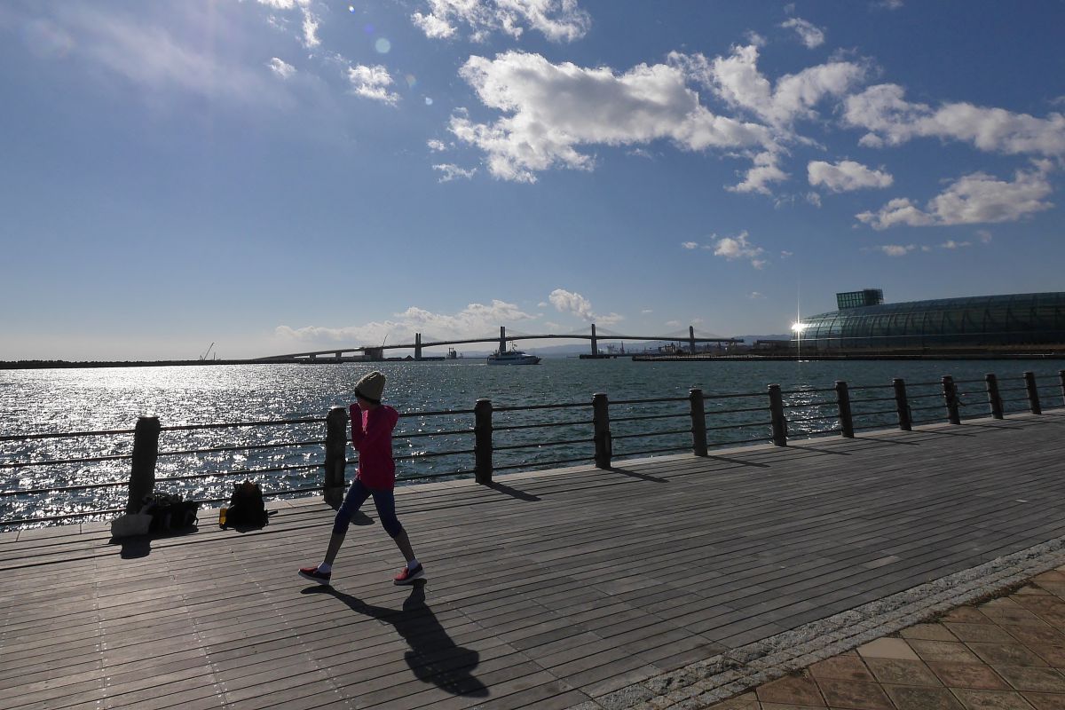 Walking the harbor. | GANREF