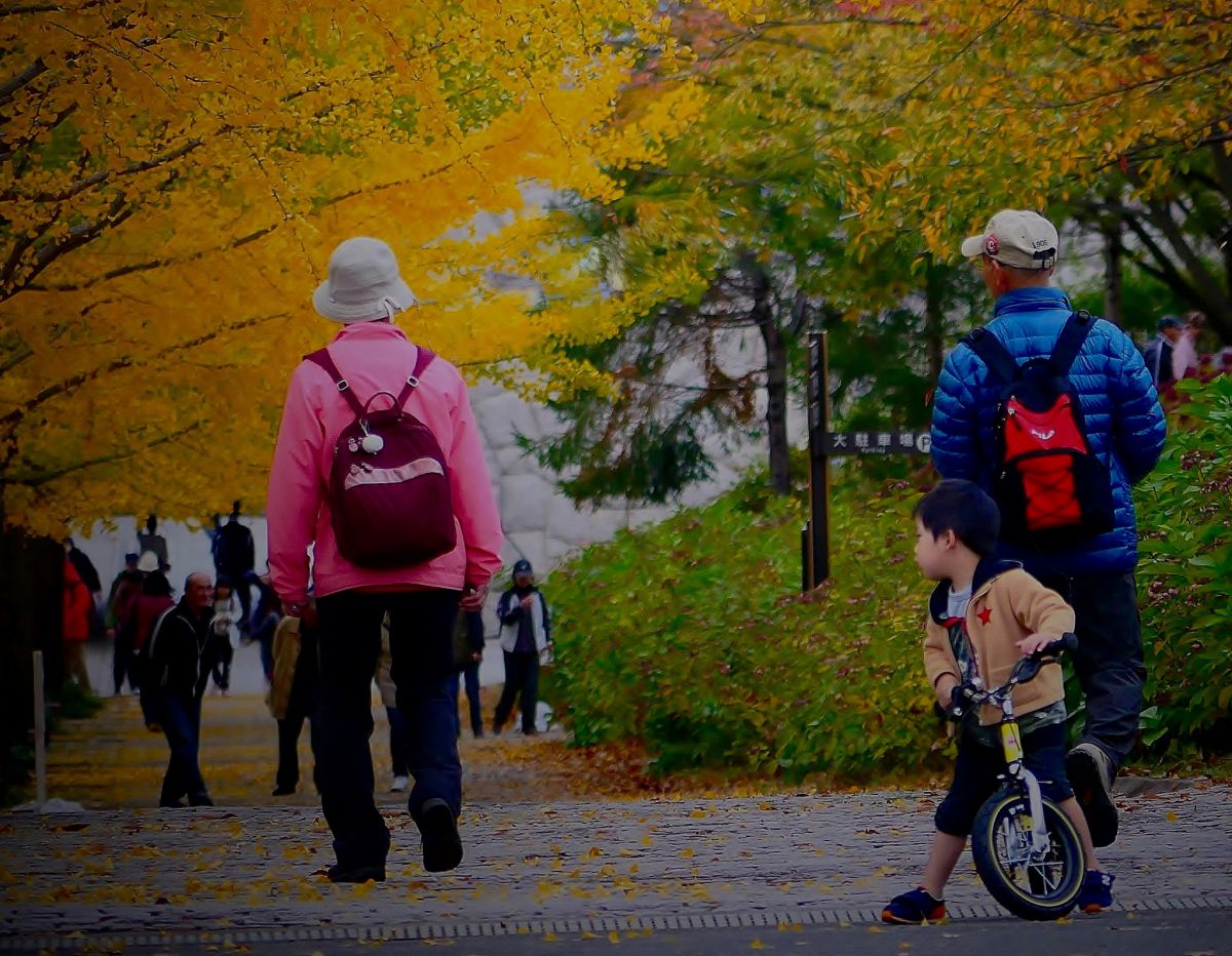 all alone lonely *＊. | GANREF