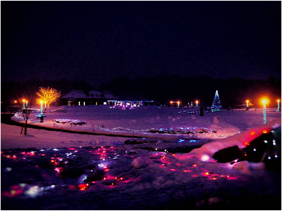 Pageant of light. | GANREF