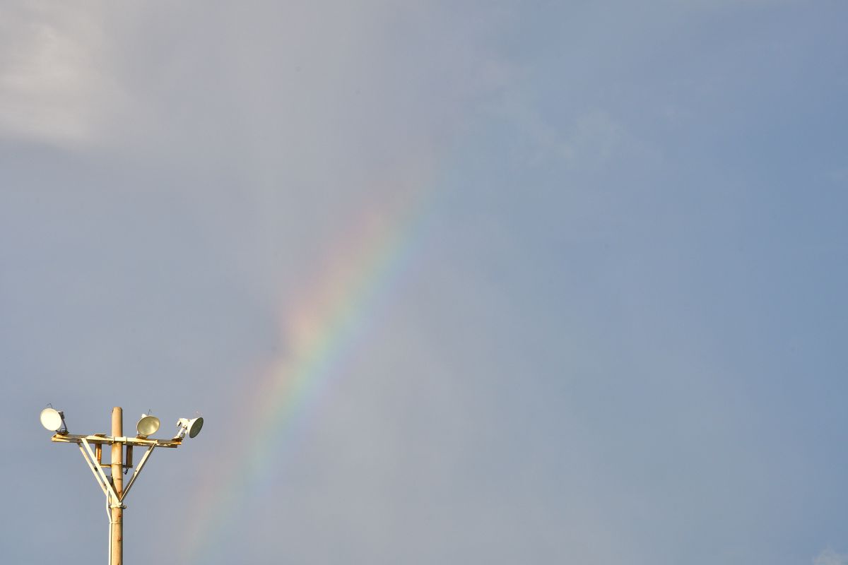 ＊rainbow＊ | GANREF